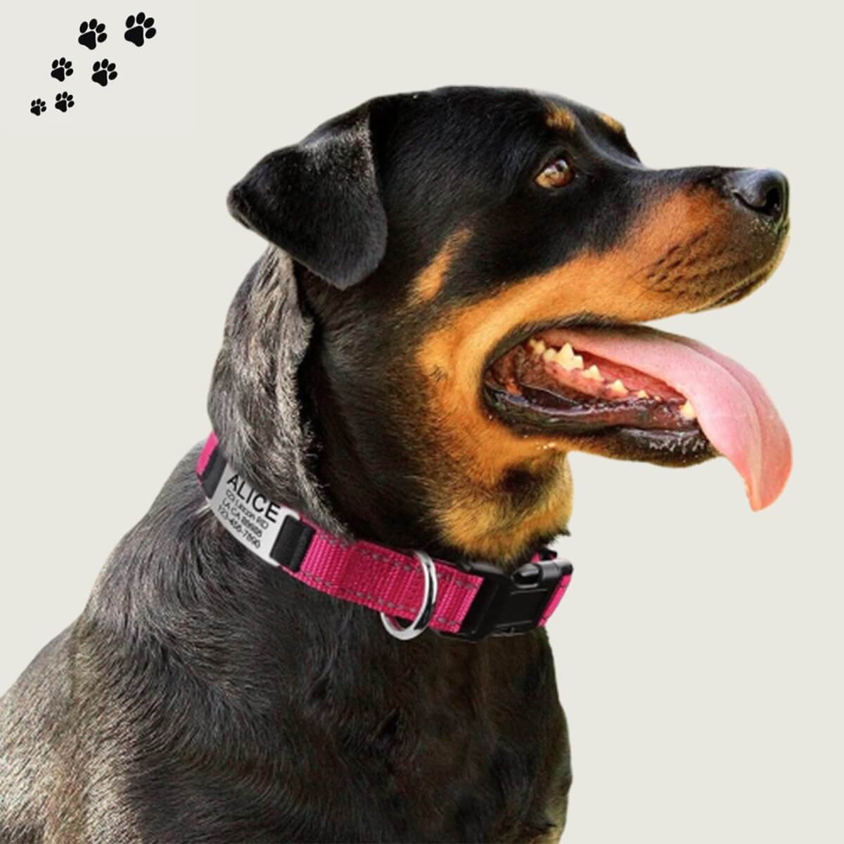 My Pet Michael - Quality Pet & Dog Products, Accessories