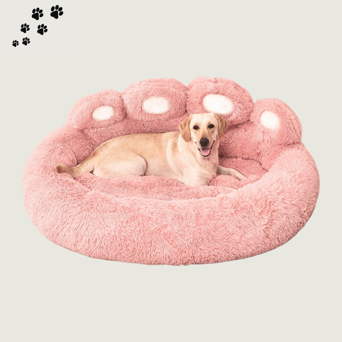 My Pet Michael - Quality Pet & Dog Products, Accessories