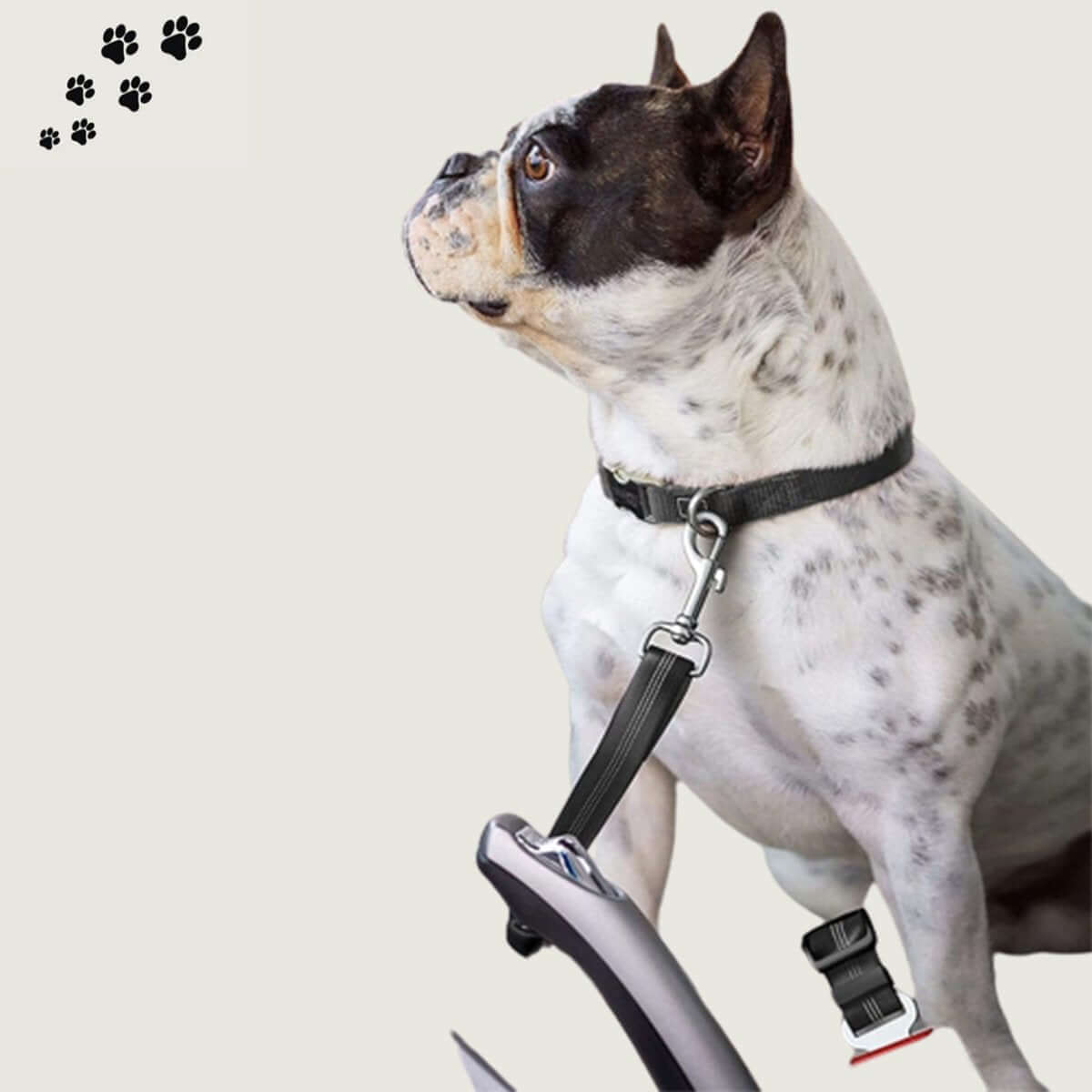 My Pet Michael - Quality Pet & Dog Products, Accessories